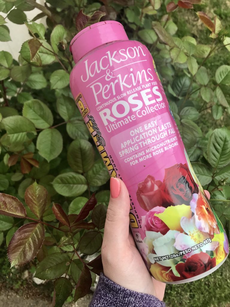 Feed Program for Roses - The Rose Table