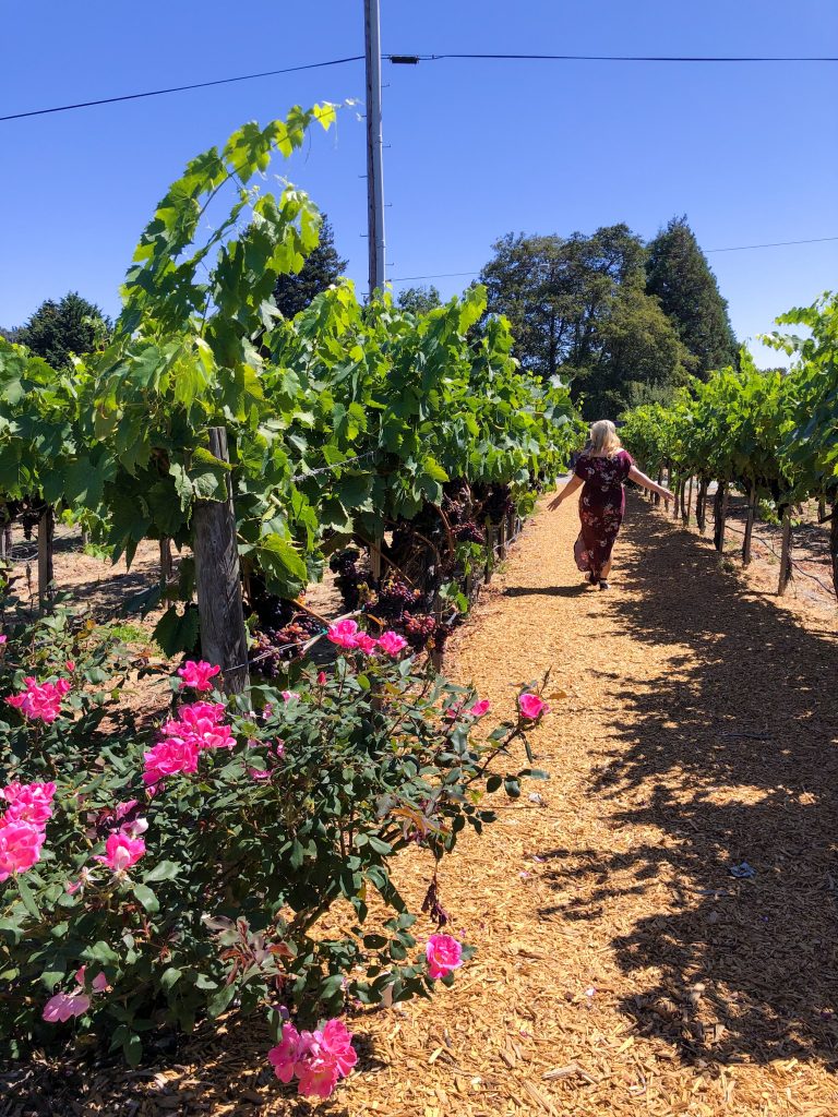 The Rose Table Turns Five - The Rose Table