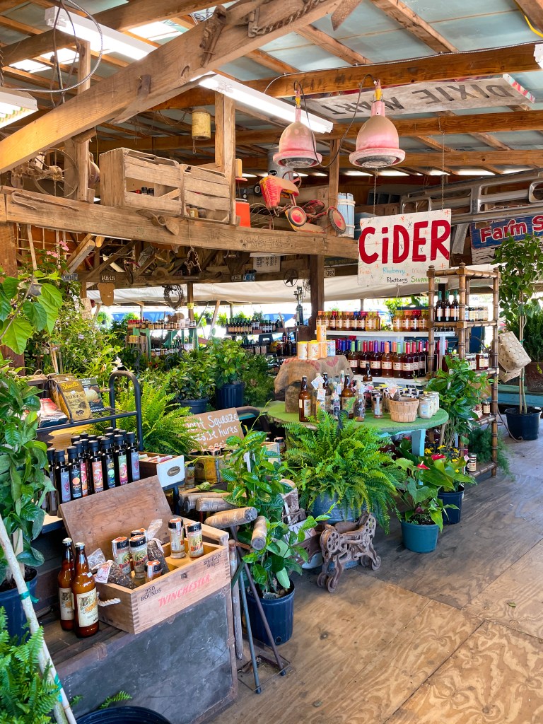 Visiting Efurd Orchards - The Rose Table