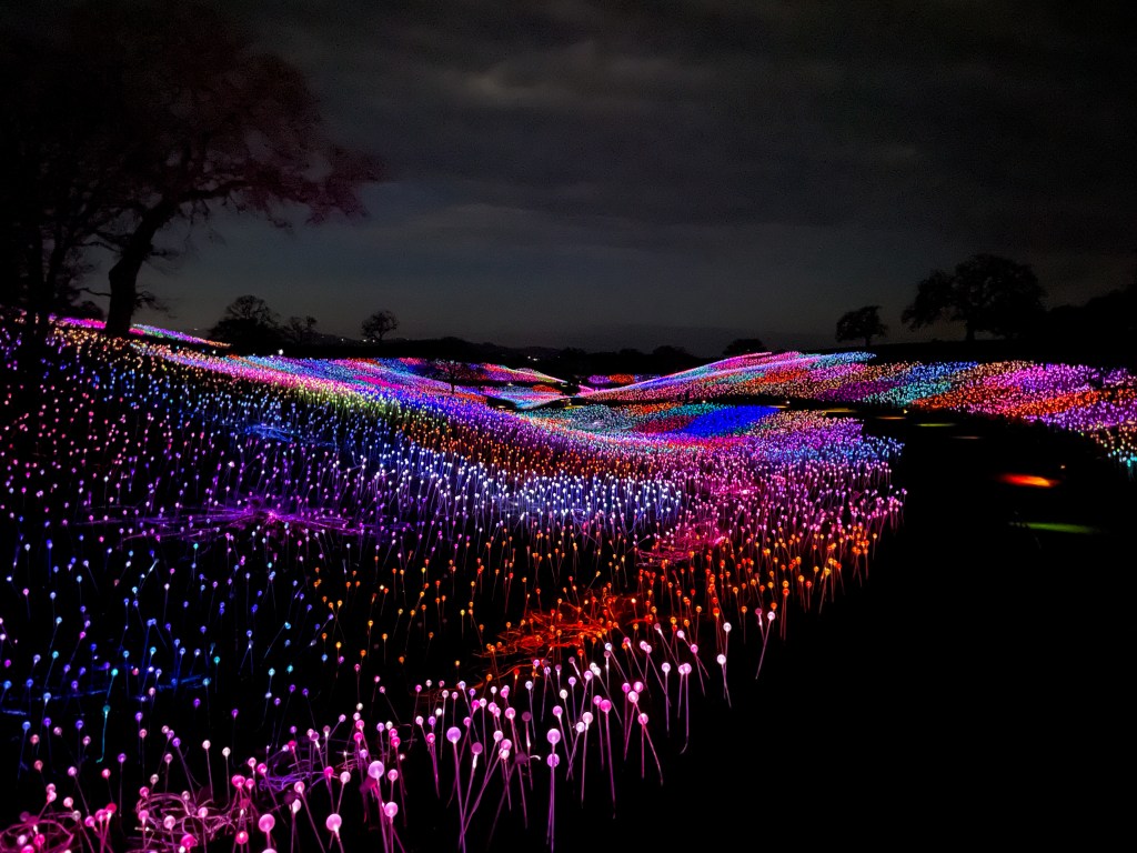 Visiting Sensorio Paso Robles - The Rose Table