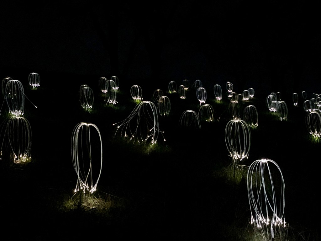 Visiting Sensorio Paso Robles - The Rose Table